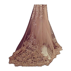 EllieHouse Cathedral Length Sequin Lace Wedding Bridal Veil for Bride Champagne