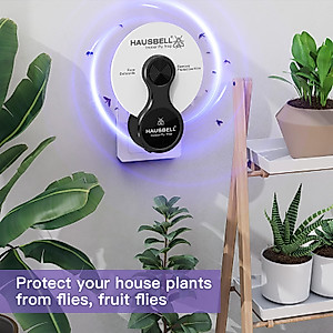 Hausbell Fruit Fly Traps for Indoors, Wall Plug-in Fly swatter, 1 Trap + 2 Glue Cards, Black