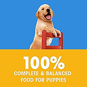 PEDIGREE Puppy Growth & Protection Dry Dog Food Grilled Steak & Vegetable Flavor, 3.5 lb. Bag