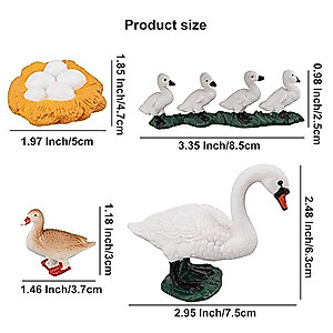 Toymany 16PCS Life Cycle of Goose White Swan Chicken Duck Farm Animals Figures, Plastic Safariology Growth Cycle Eggs Figurines Toy Kit School Project Cake Topper for Kids Toddlers