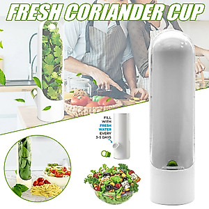 Premiu m Fresh Herb Keeper and Herb Storage Container,Herb Savor Pod Greens of Fresh Vegetable Preservation Bottle Keeps Greens Fresh for Storage Cilantro,Mint,Parsley,Asparagus