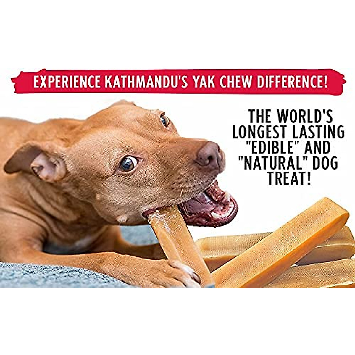 KATHMANDU'S - Authentic Himalayan Yak - Natural Dog Chew, Large to XLarge, 4-Count