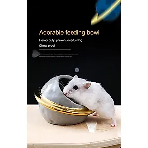 iHOO Hamster Feeding & Water Food Bowls,Planet Shape Ceramic Bowl for Dwarf Syrian Hamsters Gerbils Mice Rats Small Animals(Planet Type 2)