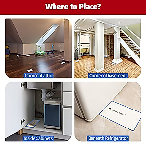 LULUCATCH Cricket Insect Glue Traps - 6 Pack Bug Traps, Cockroach Sticky Traps, Large Spider Trap with Pre-Baited Attractant, Highly Effective Glue Boards Indoor, Non-Toxic & Safe to Children, Pets