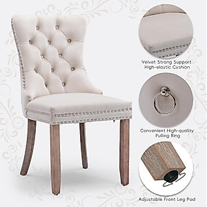 SoarTalent Velvet Upholstered Dining Chairs Set of 6, Modern Style Kitchen Side Chairs with Nailhead Trim and Wood Legs,Metal Pulling Ring for Dining Room Living Room(Beige,Set of 6)