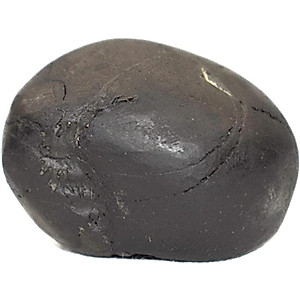 Shaligram Laxmi Narayan Shaligram Rudraksha Guru Narsihma Shaligram Kurma Shaligram
