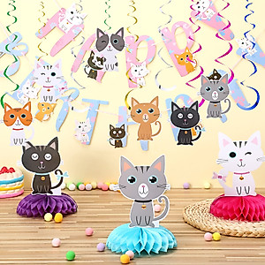 Chinco 16 Pcs Cat Theme Birthday Party Decorations Party Supplies Kit, Includes Cat Party Banner with 6 Cat Hanging Cutouts 6 Hanging Swirl Decor and 3 Birthday Honeycomb Party Decoration(Cool Style)