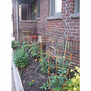 Glamos 220500, Blazing Gemz Plant Support, 12 by 33-Inch, Emerald Green (Pack Of 10 Supports)