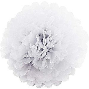 IGUO 30pcs Wonder Woman Decor Navy Blue Red White Gold Tissue Paper Pom Poms Nautical Party Supplies Twinkle Stars Paper Garland for Baby Shower Boy Scout Banquet Birthday Party Decorations