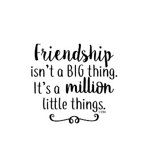 Tea Towel Best Friend | Friendship Isn't a Big Thing It's A Million Little Things | Dish Kitchen Towel Gift