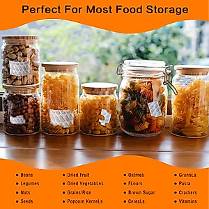 Medlladle 500cc Food Grade Oxygen Absorbers 100 Count 10 Pack Individually Sealed for Long Term Food Storage & Survival for Canning, Vacuum Bags,Mason Jars, Harvest Right Freeze Dryer, Dehydrated