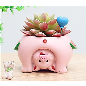Youfui Cute Animal Flowerpot Animal Resin Succulent Planter Desk Mini Ornament (Pig)