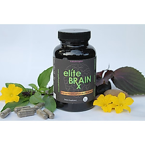 All Natural Brain Supplement – Increases Clarity, Improves Memory & Mood, Boosts Focus & Intelligence - Scientifically Formulated Nootropic for Cognitive Enhancement - Ginkgo Biloba - Elite BrainRx