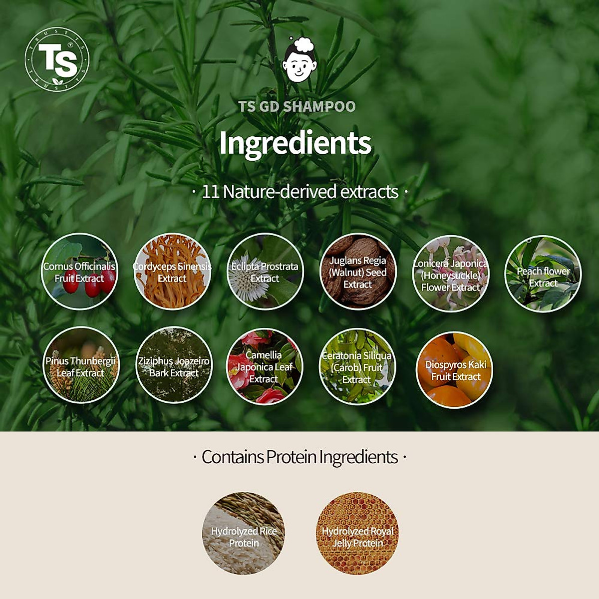 TS GD Shampoo for Dandruff & Itchy Scalp (13.5 Oz) Youth & Teen Shampoo | Treatment for Adolescents | Allergen free | Silicone,SLS,SLES Free | Korean Shampoo