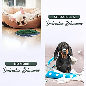 PET ARENA Adjustable Snuffle mat for Dogs, Cats - Dog Puzzle Toys, Enrichment Pet Foraging mat for Smell Training and Slow Eating, Stress Relief Dog Toy for Feeding, Dog Mental Stimulation Toys