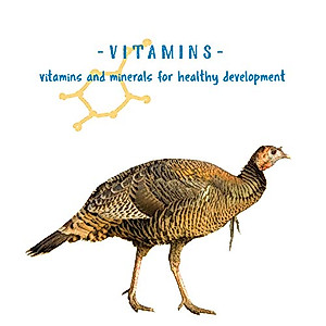 Manna Pro Gamebird Showbird Crumbles, 5 Pounds (Pack of 2)