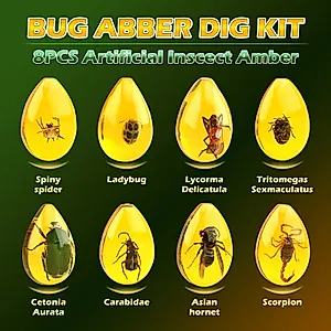 Amber Dig Kit - Insects in Resin, 8 Insects Specimens Excavation Kit, Geographic Bug Toys for Kids, Educational Science Kits for Bugs Collection, STEM Toys for Boys & Girls Age 6 and up Birthday Gift