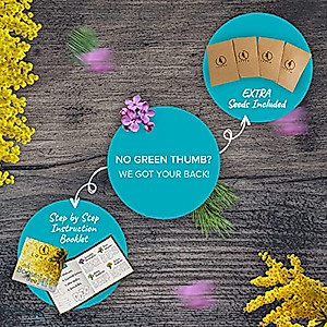 Bonsai Tree Seed Starter Kit - Complete Growing Kit - Grow 4 Bonsai Tree Live Indoor Plant from Seed - Adult Crafts - Grow Your Own Live Plant - Great DIY Kits for Adults - Crafts for Adults