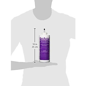 Rockwell Labs BAIP001 BorActin Insect Dust Insecticide, 1 lb, White