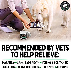 TummyWorks Probiotic Powder for Dogs & Cats. Relieves Diarrhea, Upset Stomach, Gas, Constipation & Bad Breath, Itching, Allergies & Yeast Infections. Added Digestive Enzymes & Prebiotics. Made in USA