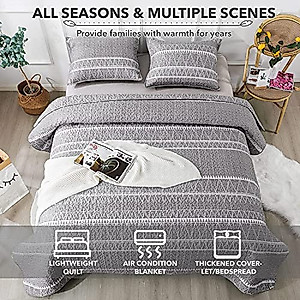 Andency Grey Quilt Set King (106x96 Inch), 3 Pieces(1 Striped Triangle Printed Quilt and 2 Pillowcases), Bohemian Summer Lightweight Reversible Microfiber Bedspread Coverlet Sets