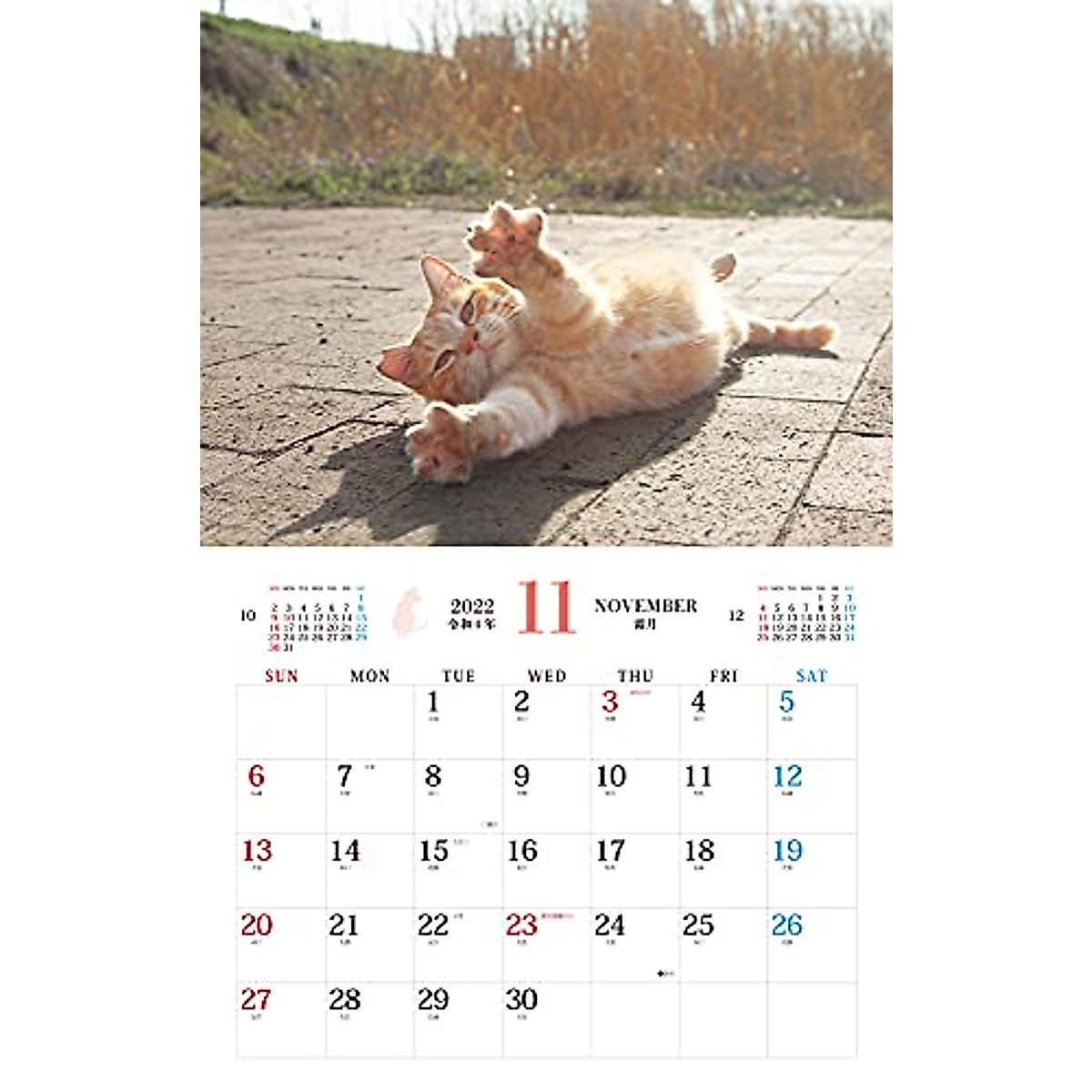 そとねこ (インプレスカレンダー2022)