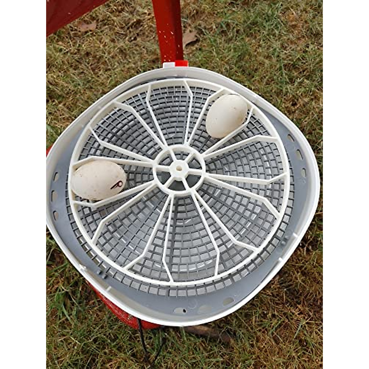 Turkey Turner Tray Compatible with The Nurture Right 360 Incubator