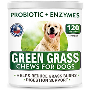 All-Natural Grass Treatment for Dog Urine Bundle - Grass Restore Treats for Dogs - Pee Lawn Repair Chews w Probiotics - Dog Urine Neutralizer Solution for Grass Burn Spots - Made in USA