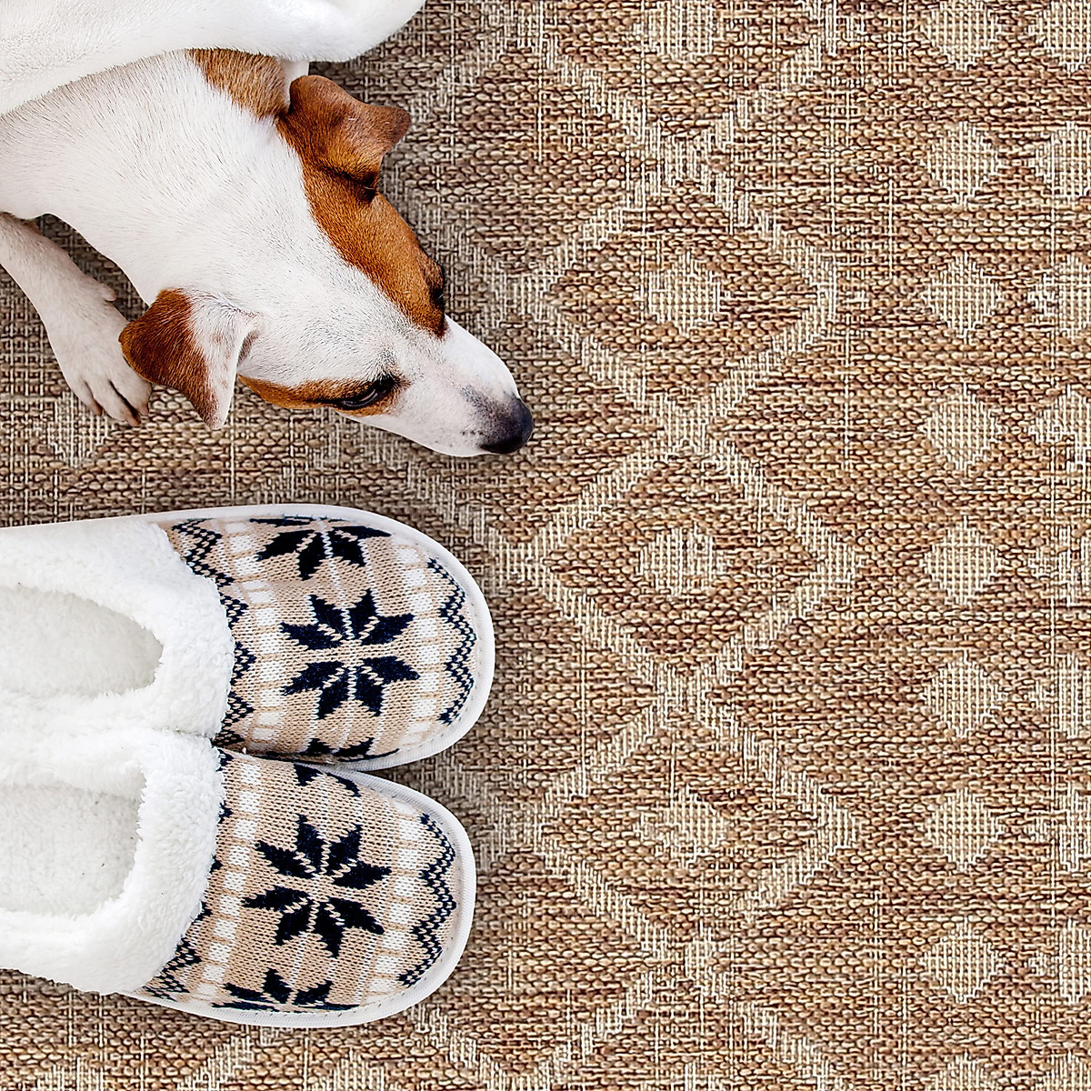 Sherloom Modern Geometric Indoor Outdoor Area Rug Weather Resistant Outdoor Carpet for Porch Deck Balcony Backyard Patio Rug 8x10 Beige, Brown