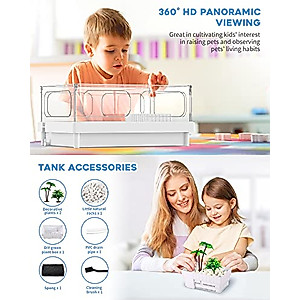 MoonOrange Small Turtle Tank, Turtle Aquarium, Acrylic Turtle Terrarium with Basking Platform, Bottom Drainage, Multi-Function Areas for Turtles, Crabs, Crayfish, Small Reptiles. (White Tank)