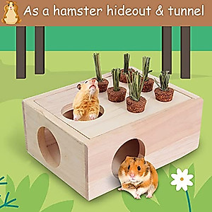 HOORITO Wooden Hamster House,2-in-1 Hamster Hideout House & Chew Toys,Multi-Room Tunnel Exploring Toys for Gerbils Syrian Dwarf Mouse,Small Animal House Habitats Decor for Hamster
