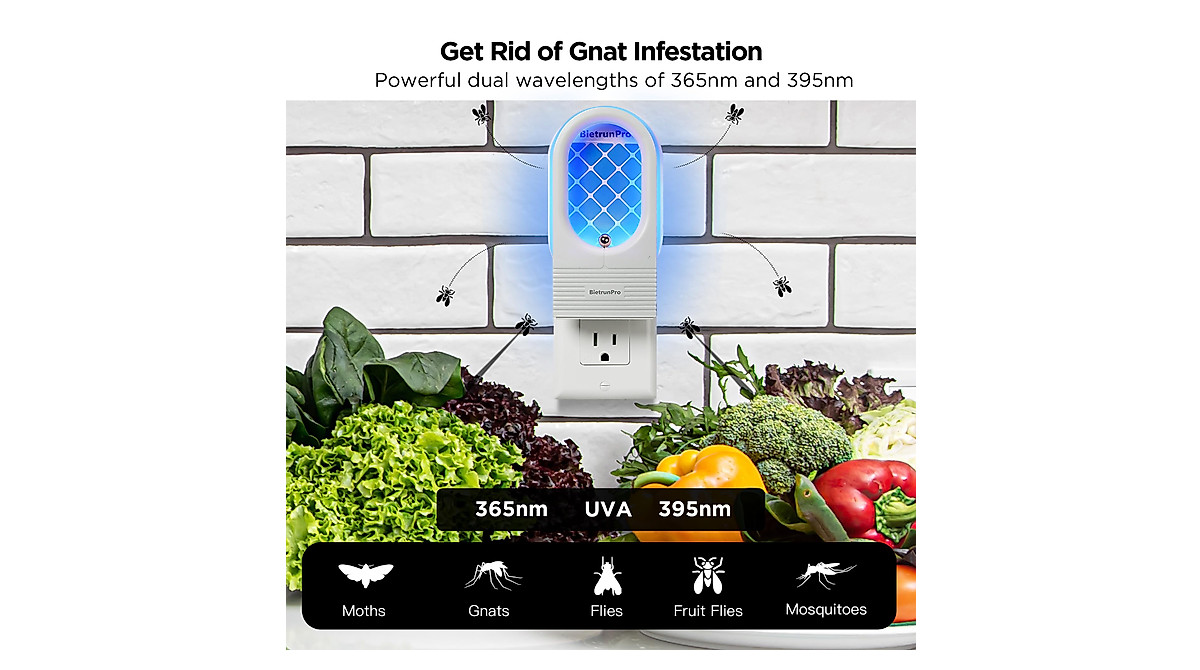Effective Indoor Fruit Fly Trap - UV & Blue Light Bug Catcher