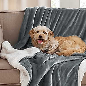 NICETOWN Weighted Blanket Sherpa Throw Blanket for Couch, Dual Sided Warm Thick Blankets and Throws for Baby Super Soft Cozy Fuzzy Travel Picnic Blanket for All Seasons (50"x 60", Dark Grey)