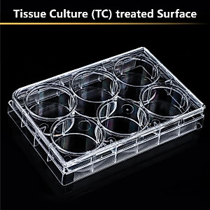 4E's USA 6 Well Cell Culture Plate with Lid, Tissue Culture Treated Plate, Sterile, Individual Packing, Pack of 5 Plates
