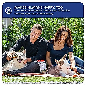 Downtown Pet Supply 6 inch Bully Sticks for Large Dogs, 5 Pack of Jumbo Extra Thick Treats for Aggressive Chewers, Single Ingredient, Rawhide-Free Long Lasting Dental Chews for Big and Medium Dogs