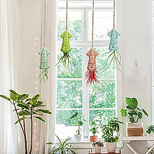 Mimeela 4 Pack Air Plant Holder Unique, Cute Squid Air Plant Hanger Wall Planter, Ceramic Tillandsia Airplants Holders Hanging Wall Decor for Home Office (Squid-Small (1.6 x 3.6 in))