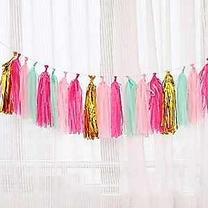 20pcs Tassel Garland Party Decor，Tassel Banner Tissue Paper DIY Decorations for Wedding Baby Shower Birthday Event Party Garland Decor (Gold Mint Rose Red Pink)