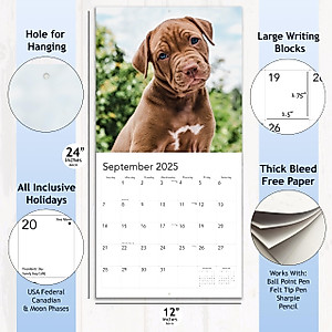 Puppies 2023 Hangable Wall Calendar - 12" x 24" Open - Cute Funny Dog Photo Gift - Sturdy Thick Puppy Dogs Photography - Large Full Page 16 Months for Organizing & Planning - Includes 2022