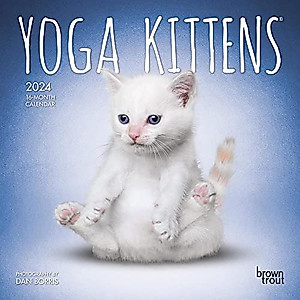 Yoga Kittens OFFICIAL | 2024 7 x 14 Inch Monthly Mini Wall Calendar | BrownTrout | Animals Humor Cats Feline