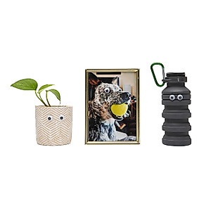 Stellar Factory Googly Eyes: Emergency Use Adhesive Eyeballs in Giftable Steel Tin - 150 pcs, 3 Sizes