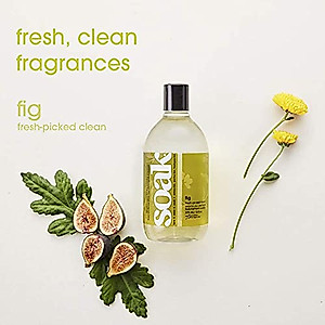 Soak Laundry Soap – No Rinse, Plant Derived Hand Wash Detergent - 375 ml / 12 fl. oz, 75+ Washes (Fig)