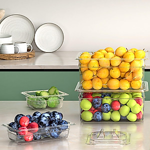 HNEDSEN 6 Pack Plastic Food Pan with Lid 1/2 Size 2.5 Inch Deep Restaurant Clear Food Storage Containers Polycarbonate Commercial Hotel Pans for Fruits Vegetables Beans Corns (6 PCS, 2.5'' Deep)