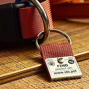 NaviTagi Pet ID Tag for Large and Extra Large Dogs. Personalized w/ID Number. Reliable Design, Stainless Steel Ring. 2 Phones Updatable Online, Name Safe (1 Tag - L)