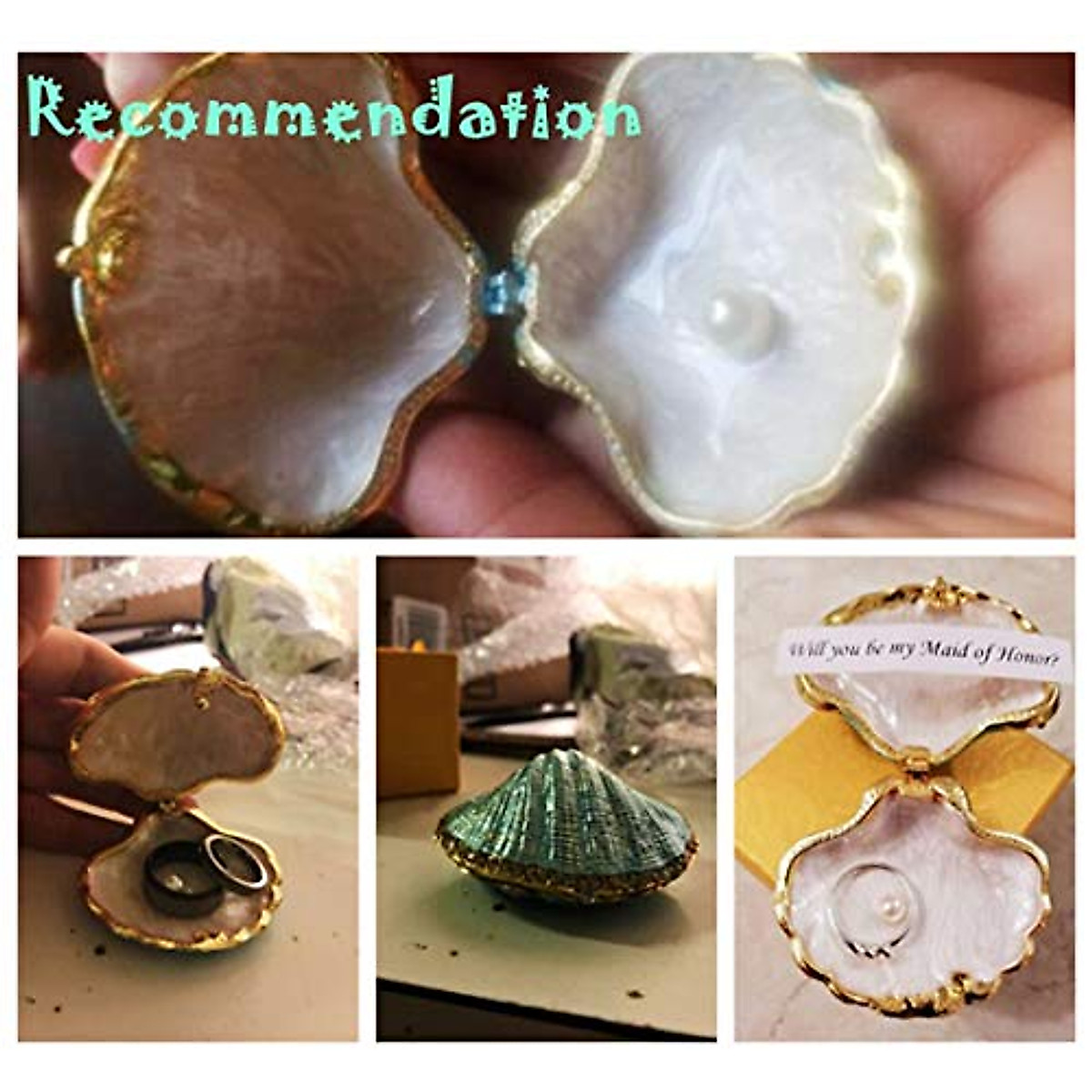 H&D HYALINE & DORA Metal Glass Trinket Box Ring Holder Small Seashell Figurine Collectible Table Centerpiece (pearl mussel)