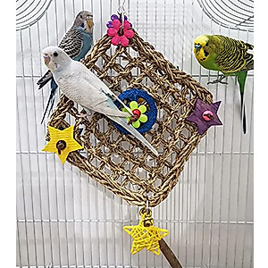 通用 XH Bird Parrot Toys,Bird Foraging Wall Toy with Hanging Hook, Seagrass Woven Mat with Colorful Wooden Blocks,Suitable for Lovebirds, Budgerigars, Conure, Cockatiel