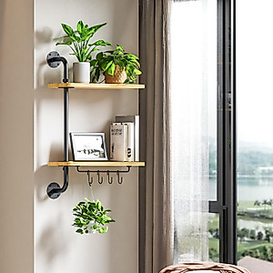 THYGIFTREE Window Plant Shelves 2-Tier Rotating Plant Display Holder Wall Mounted Pipe Swivel Plant Stand Rustic Floating Shelves for Houseplants Herbs, Wood