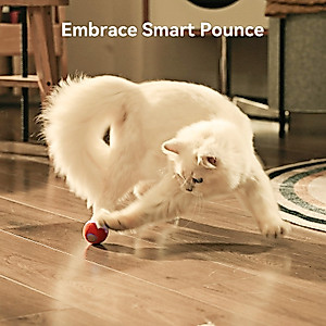 Cheerble 【2025 Upgrade】 Interactive Cat Ball Toy, Wicked Ball M3, Automatic Moving Ball Toy for Indoor Cat Kitten, Smart Anti-Depression Pet Toy Fun Gift with Light