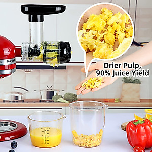 Masticating Juicer Accessories, Gdrtwwh Juicer Machines Attachments Compatible with All KitchenAid Stand Mixers and Cuisinart SM-50BC/SM-50R/SM-50TQ/SM-50BL/SM-50BK Stand Mixers,Black