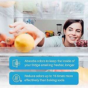 SpiroPure SP-EXAIR Refrigerator Fresh Air Filter Replacement for EAF1CB, AFCB, 9917, 46-9917, 241504902, 241575002, 241504901 (6 Pack)