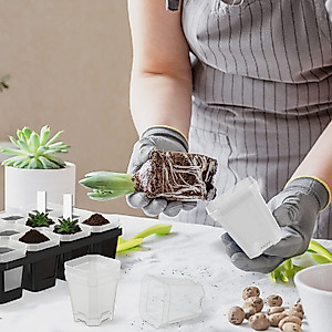 foxany 3" Clear Nursery Pots, 30 Pcs Thick Plastic Plant Pots, Square Flower Planting Pots, Seedling Planter Seed Starter Pots with Saucers